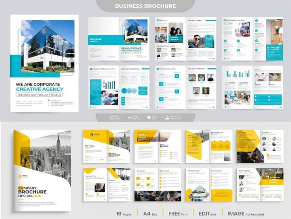 Chia sẻ các mẫu catalogue đẹp vector miễn phí